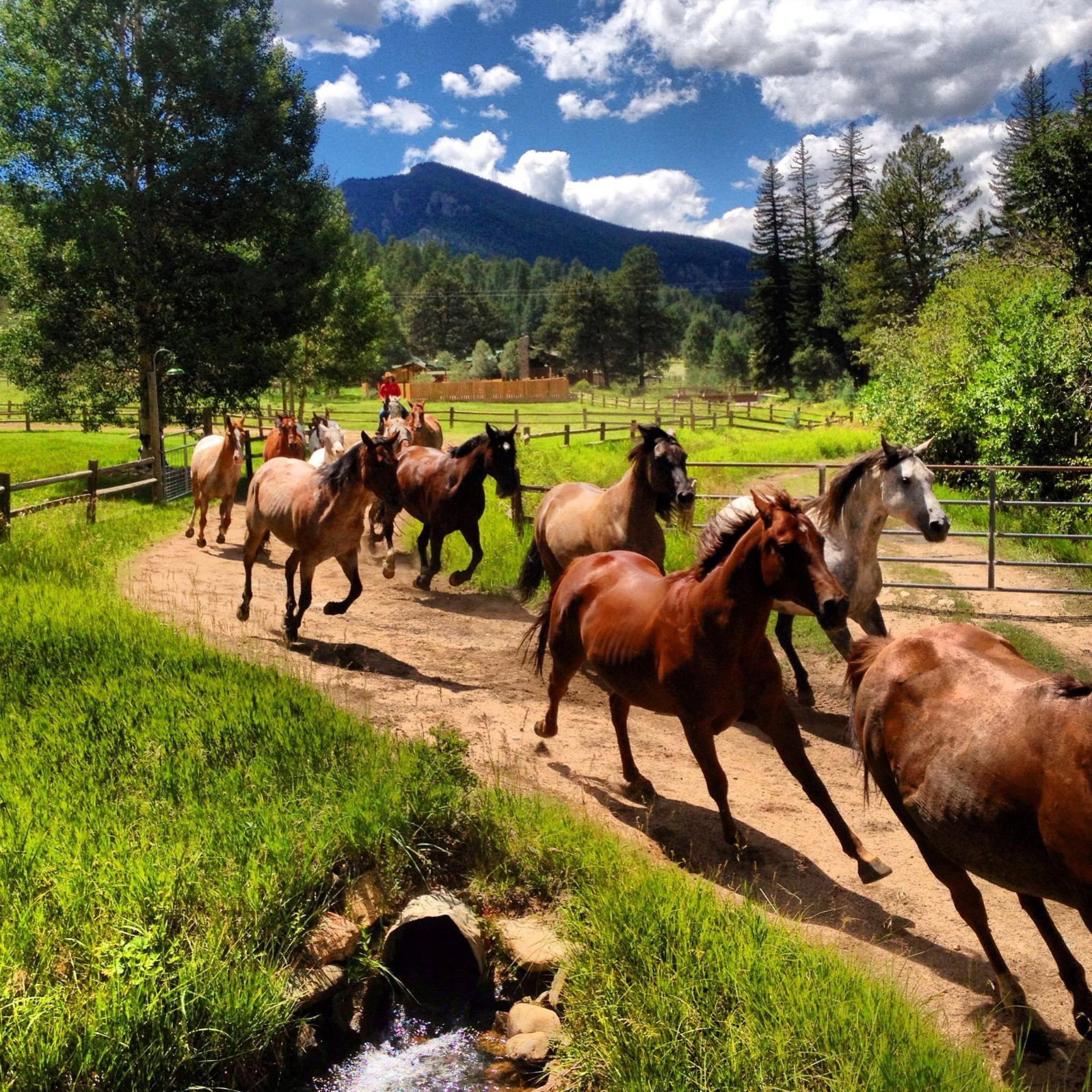USA Ranches | Authentische Amerika Ferien vom Spezialisten